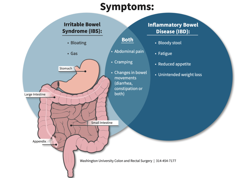 6 Differences between IBD and IBS – Naturopath Central Coast NSW